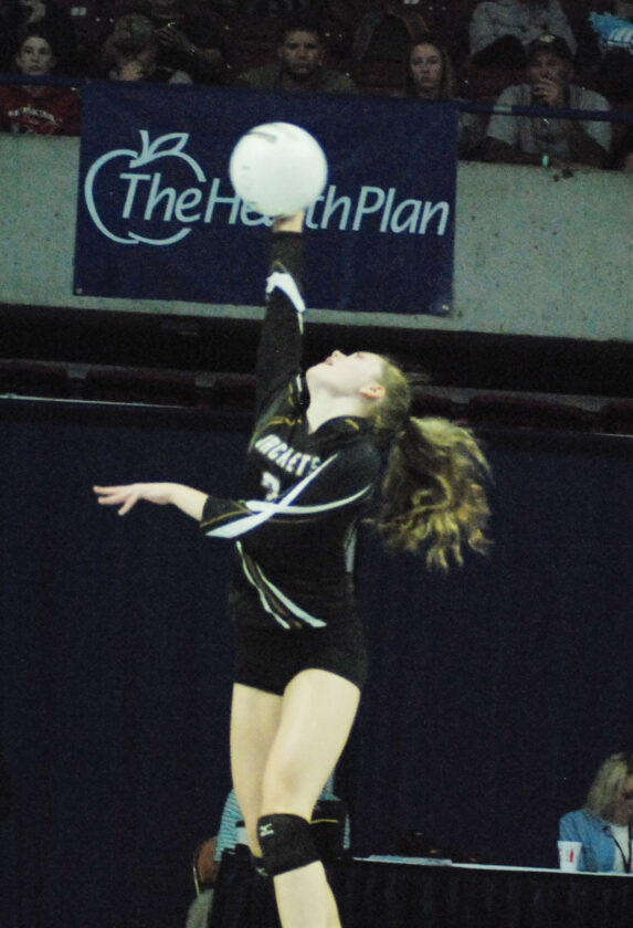 Local single-A volleyball players earn all-state honors | News, Sports ...